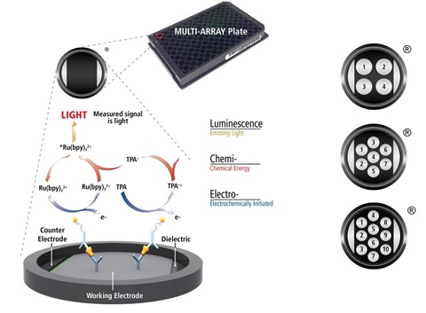 Validation of Novel Ultrasensitive Assays for Detection of ...
